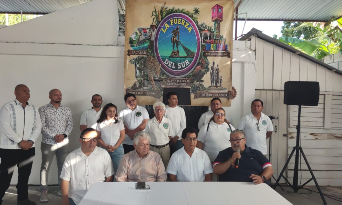 Surge Fuerza del Sur, nueva organización que busca incidir en el ...